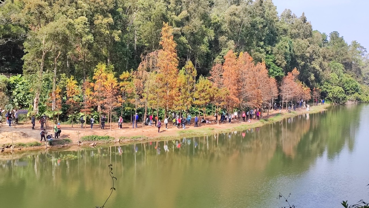 粉嶺流水響 - 元路上